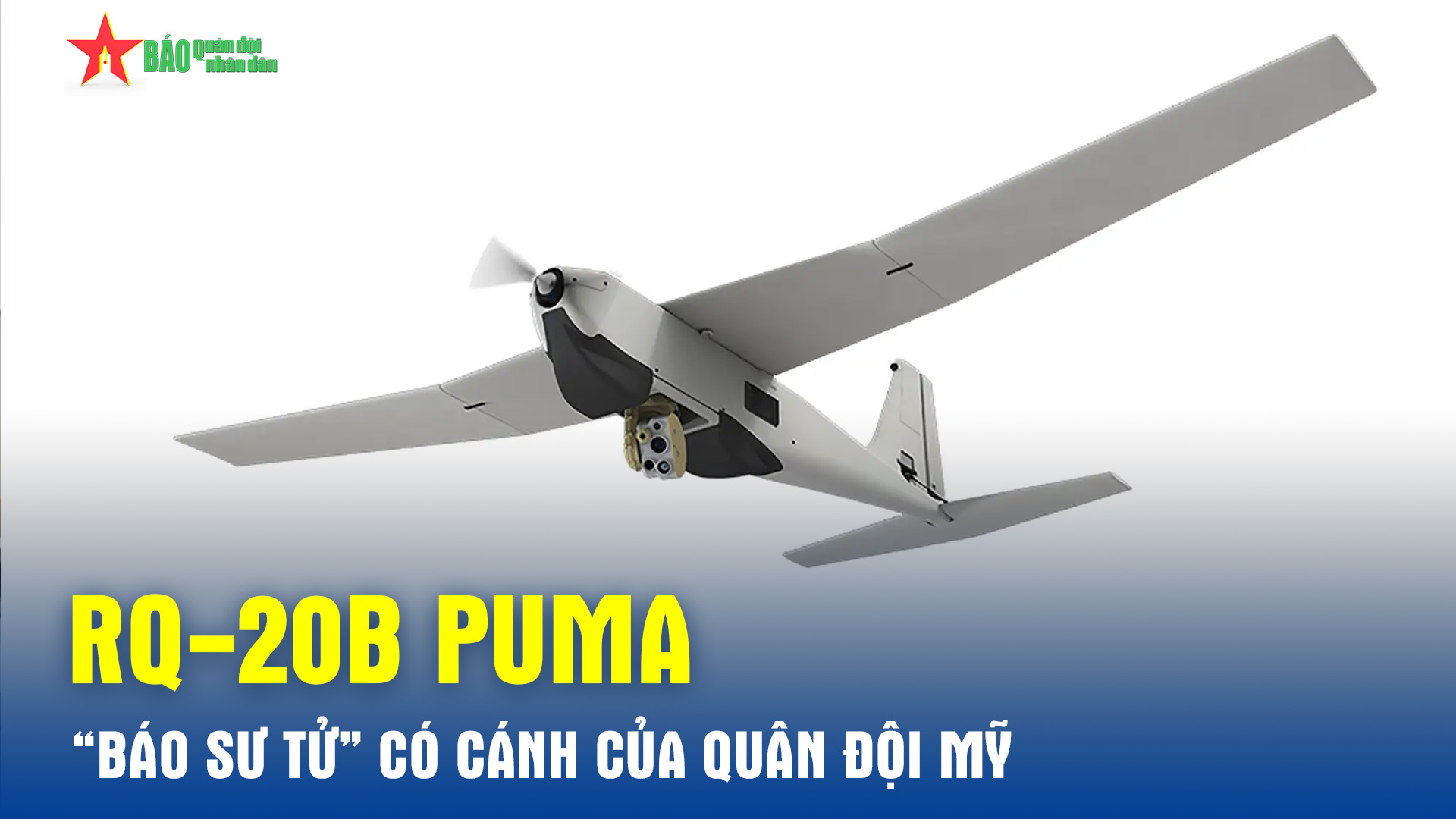 RQ-20B Puma – “Báo sư tử” có cánh của Quân đội Mỹ